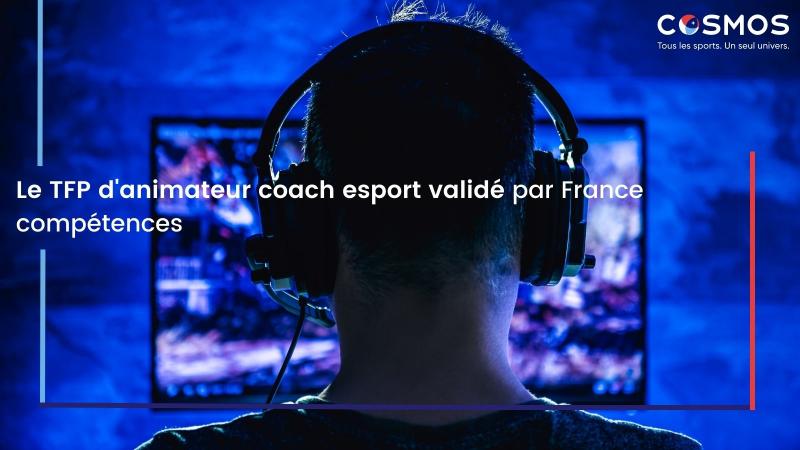 Le TFP d'animateur coach esport validé par France compétences | COSMOS